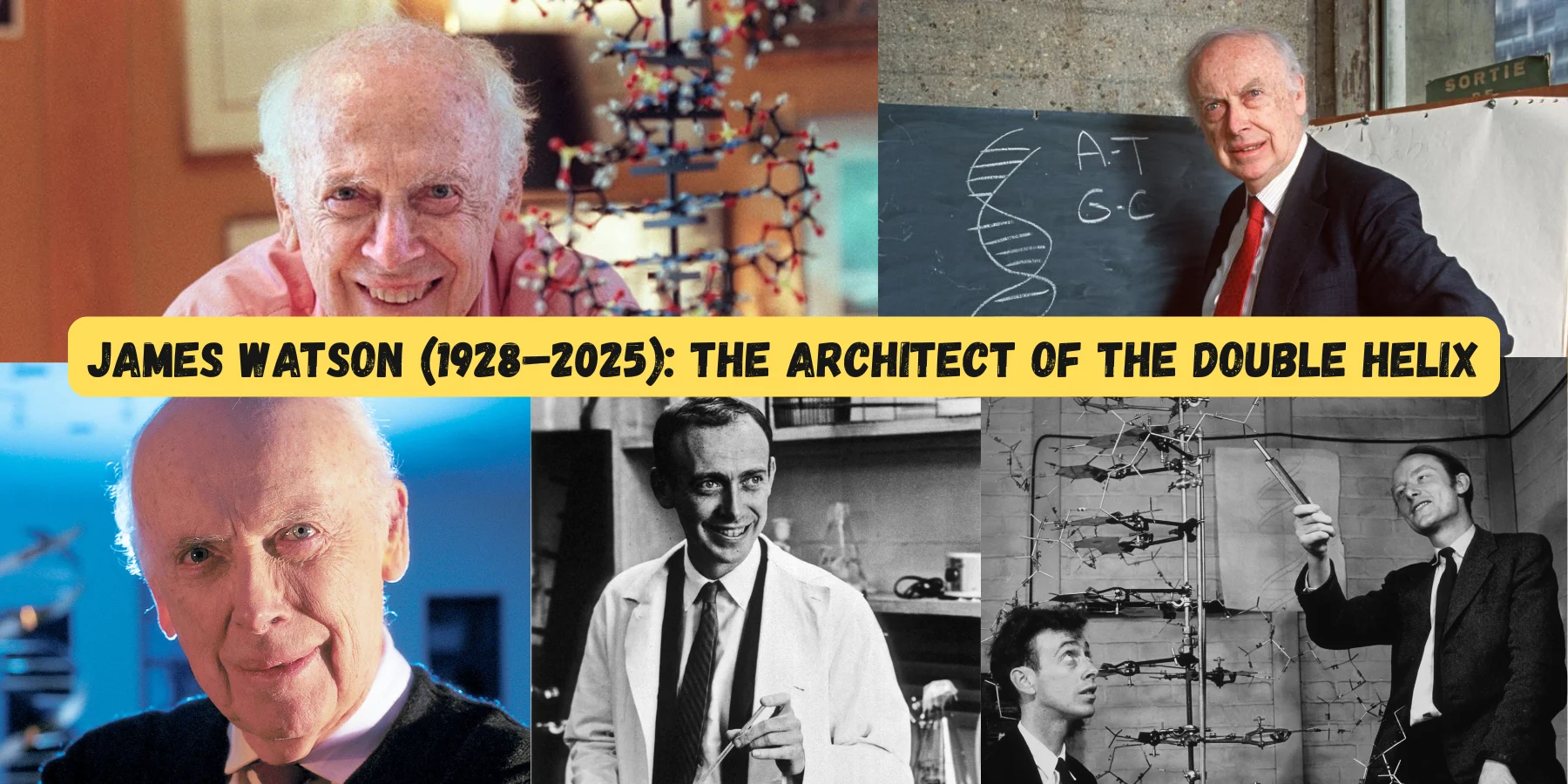 James Watson (1928–2025): The Architect of the Double Helix - CelebCars.in